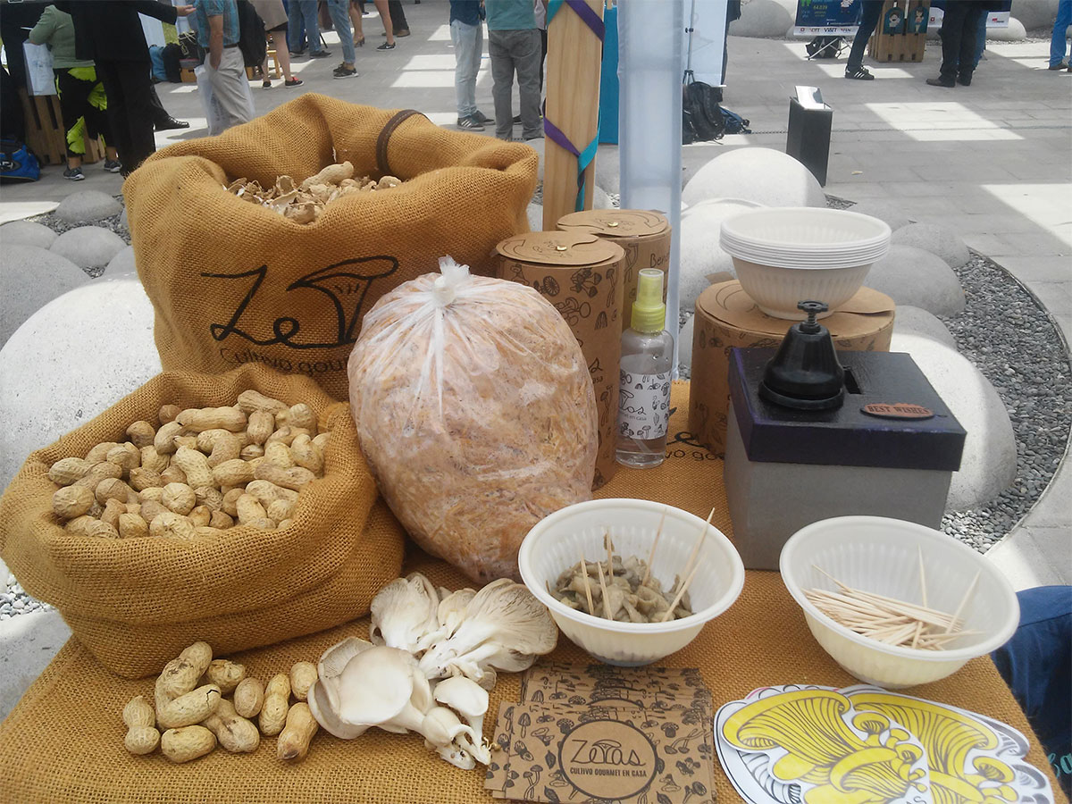 Jump Chile - ¡Zetas, cultivo gourmet en casa!
